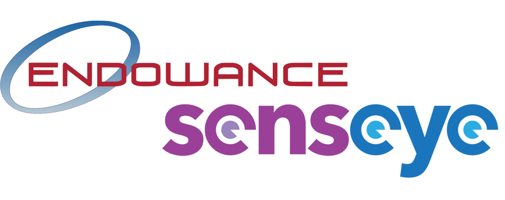 Senseye, Endowance team up on software suite | Plastics Machinery ...