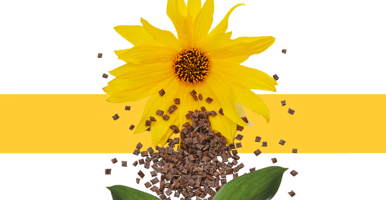 How to Succeed with Bioresin for Injection-Molded Applications ...